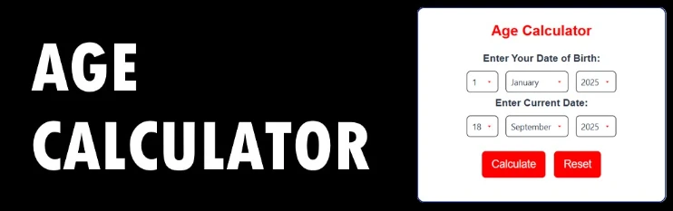 Age Calculator - Free AI Advisor 2026